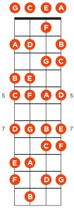 Get To Know Your Ukulele Fretboard | Ukulele Go