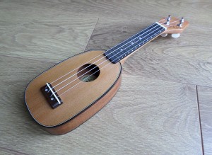5 Ukuleles To Take On Vacation/Holiday | Ukulele Go