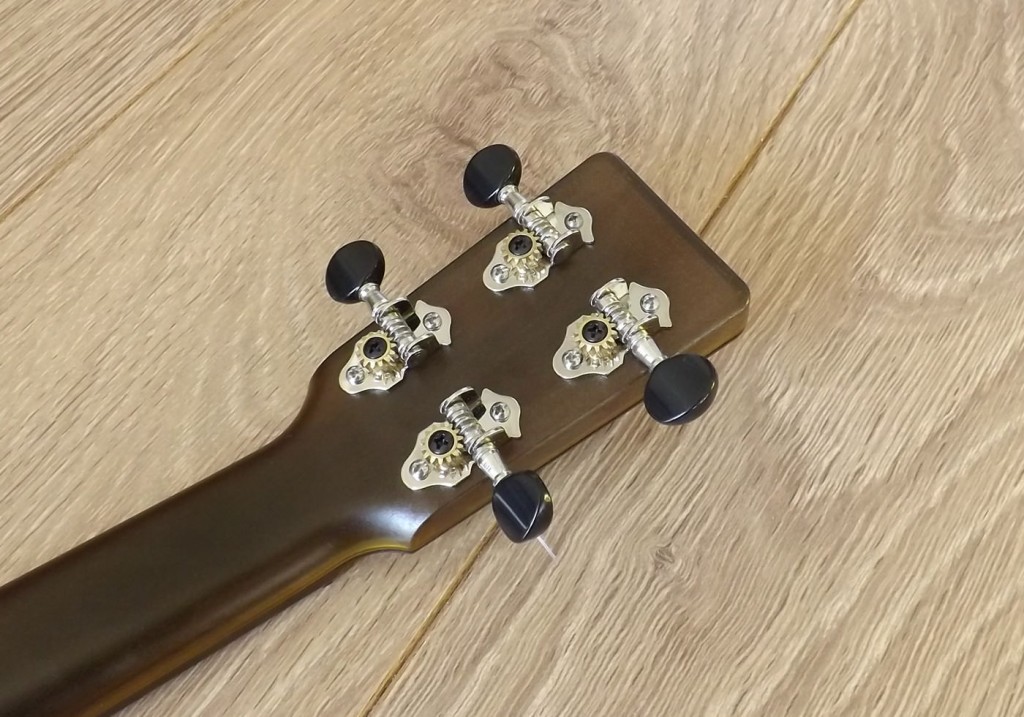Outdoor Ukulele Tenor Review | Ukulele Go